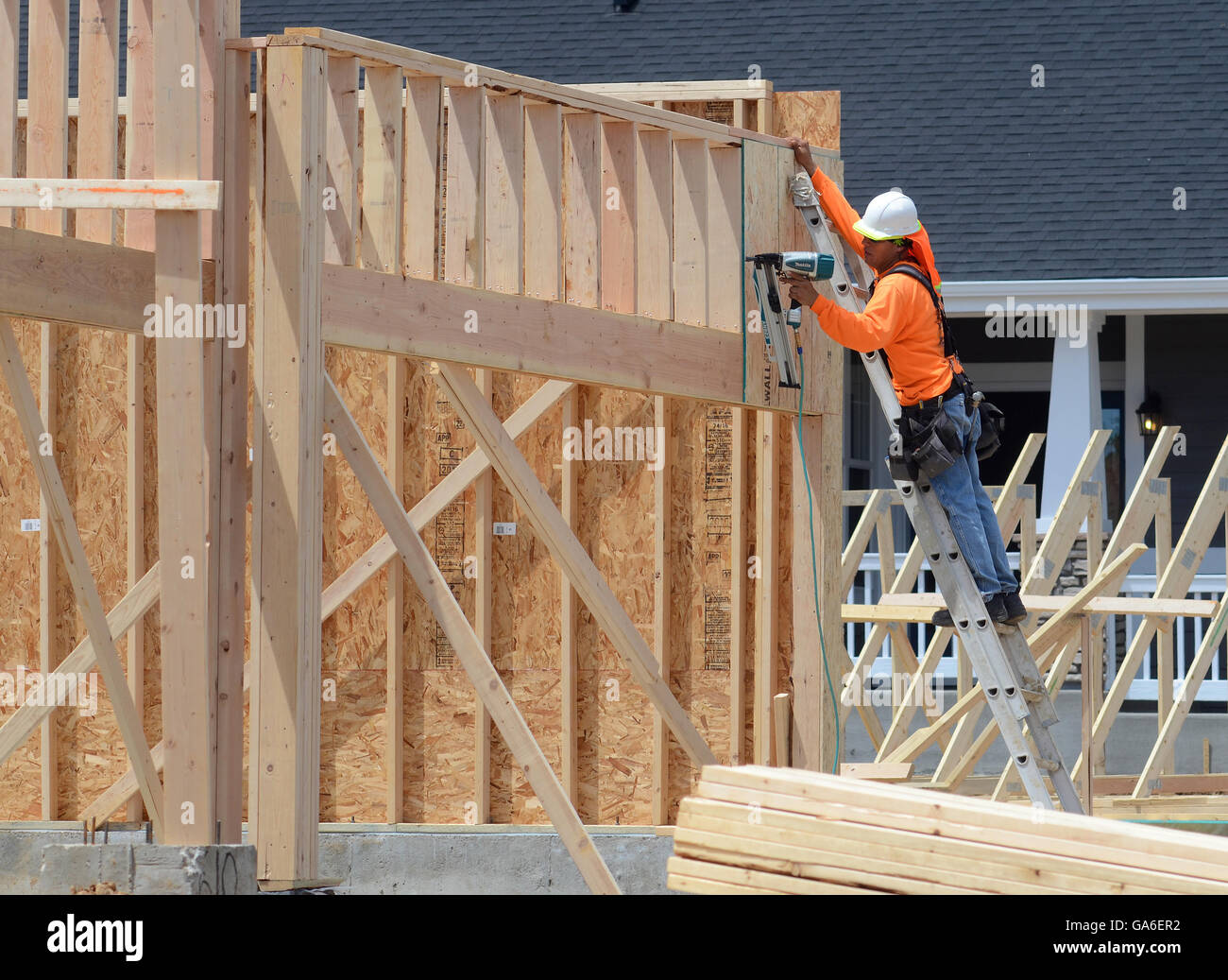 Carpenter works on framing in new subdivision in Superior Colorado ...