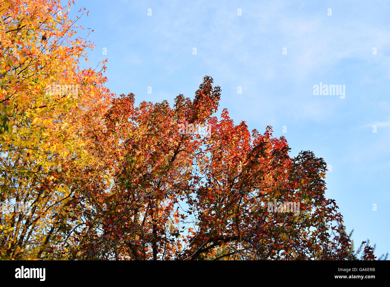 Scenery colorful hi-res stock photography and images - Alamy