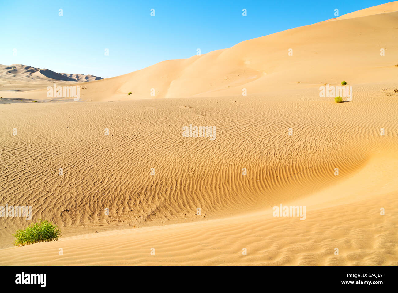 the empty quarter and outdoor sand dune in oman old desert rub al khali ...