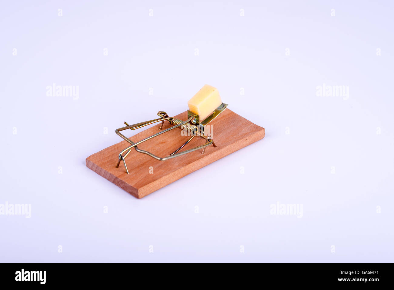 Photo of mouse trap on white background Stock Photo - Alamy