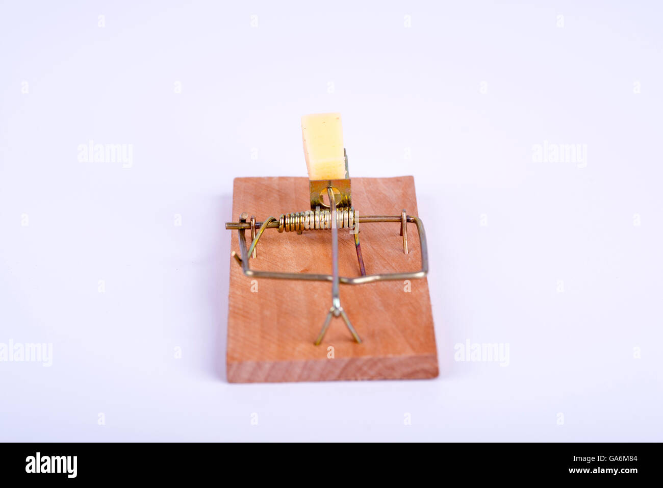 Photo of mouse trap on white background Stock Photo - Alamy