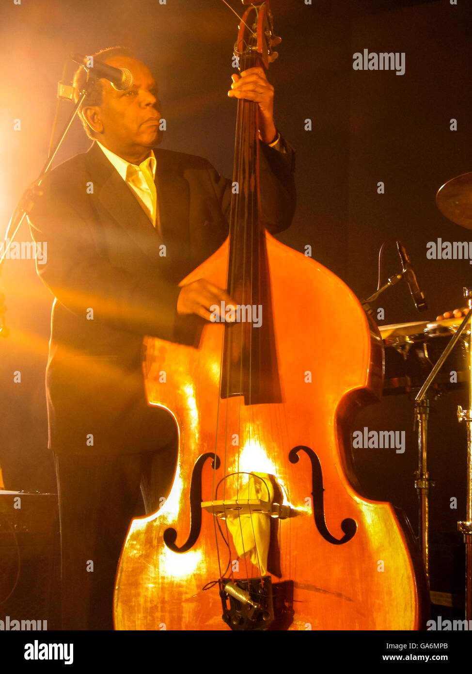 Cuban musician playing double bass at a concert in Havana, Cuba Stock ...