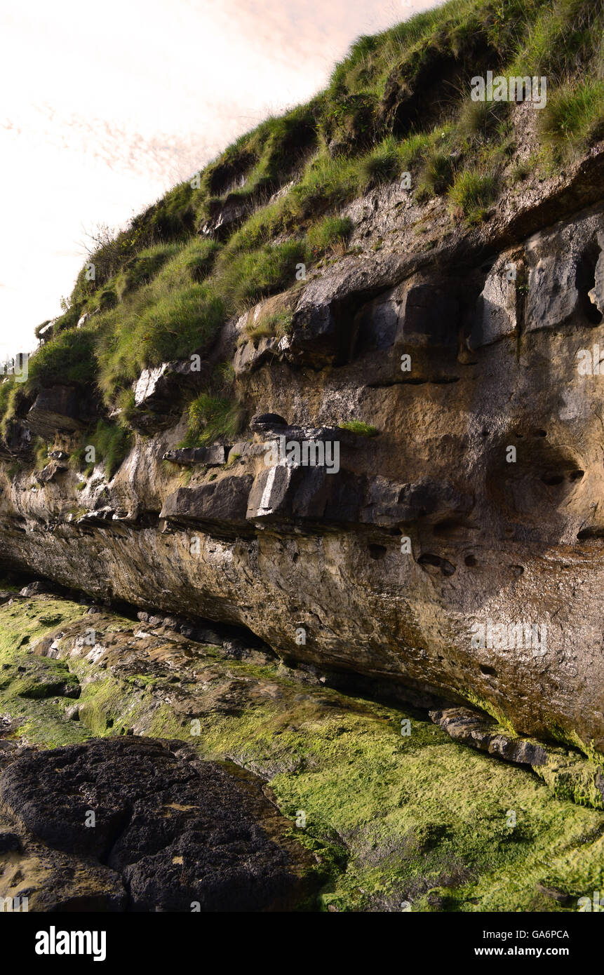 Scottish sea cliffs on the Isle of Skye Stock Photo - Alamy