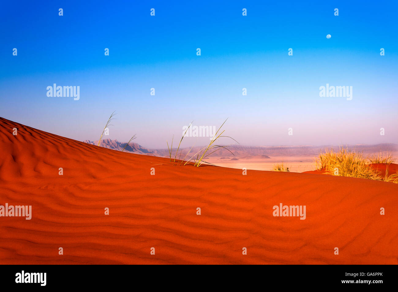 Detail of a red dune in Namibia, Africa Stock Photo - Alamy