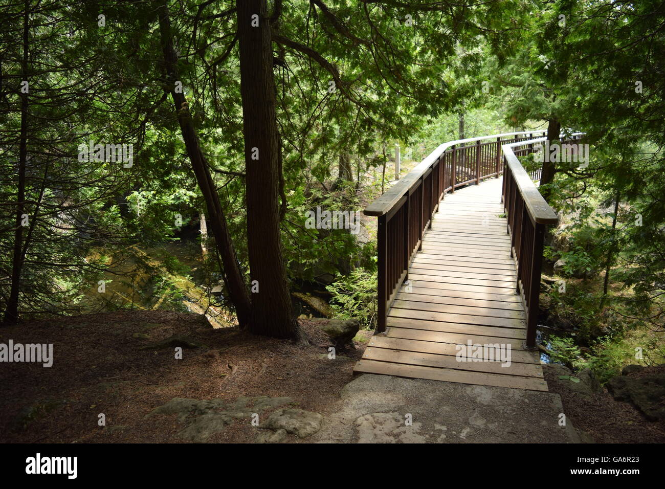 Landscape shot of boardwalk and tree outside Stock Photo - Alamy