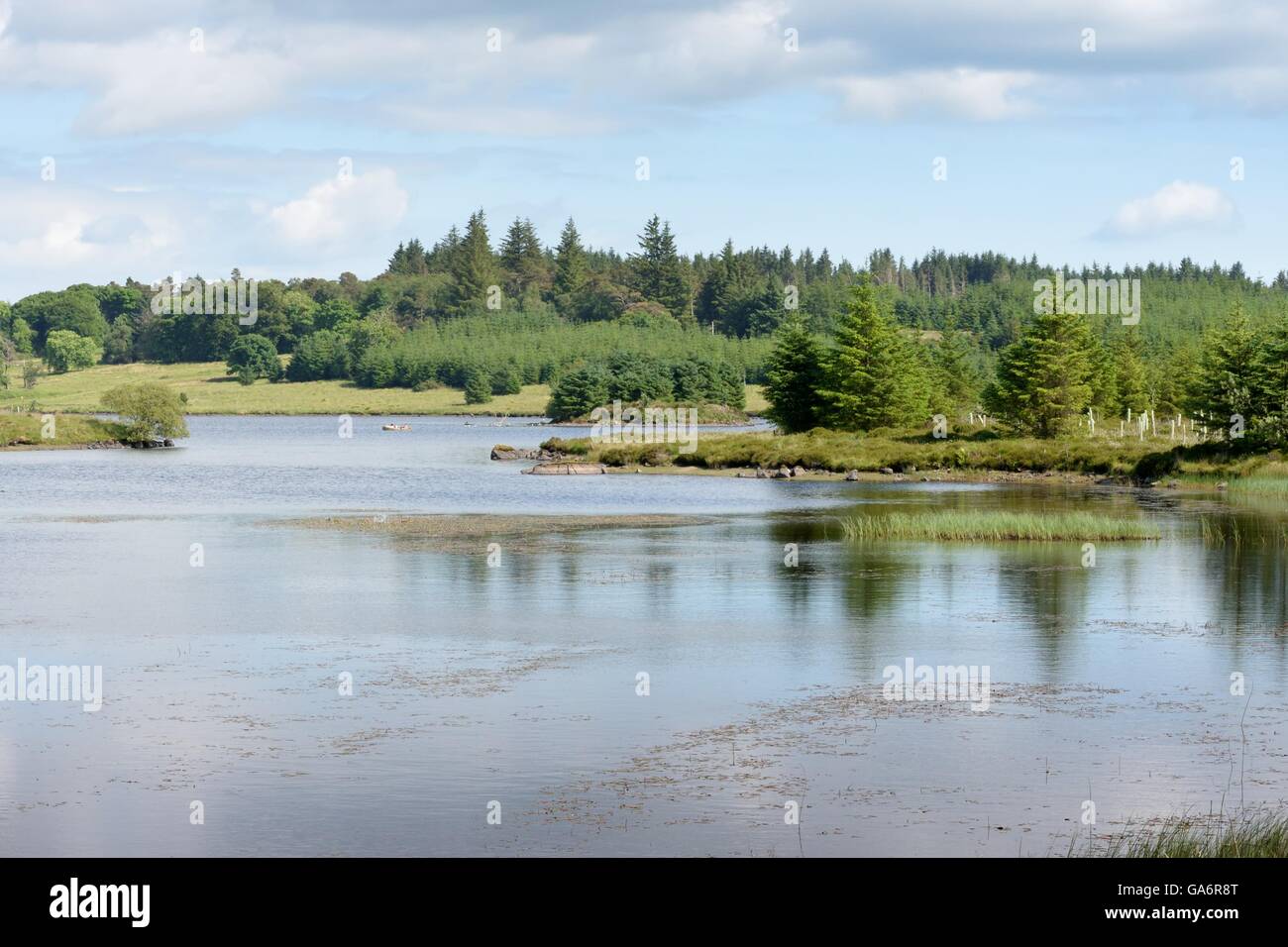 Gryffe reservoir hi-res stock photography and images - Alamy