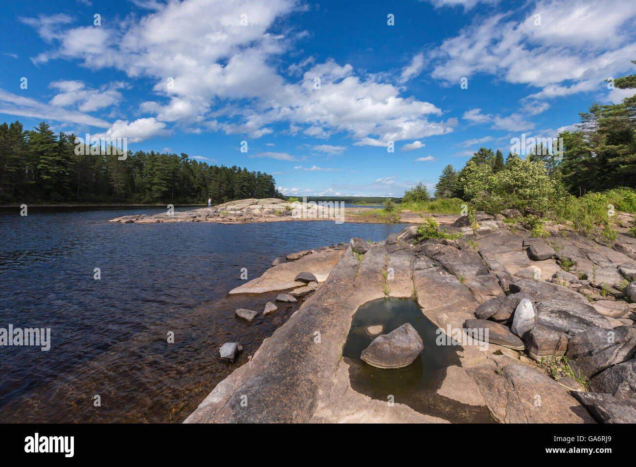 Algonquin park lake forests hi-res stock photography and images - Alamy