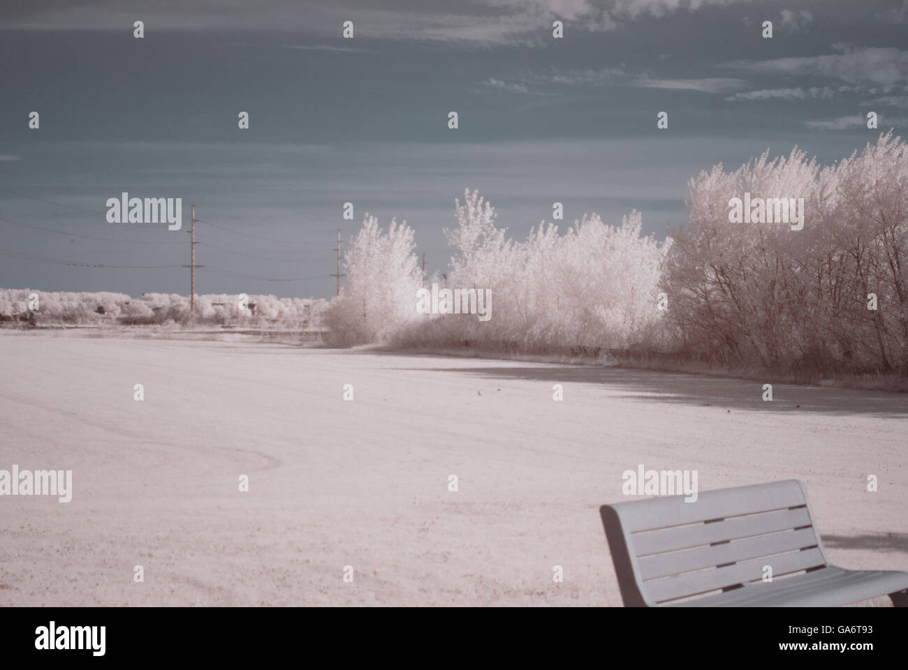 Infra red photo of a park in the summer Stock Photo - Alamy