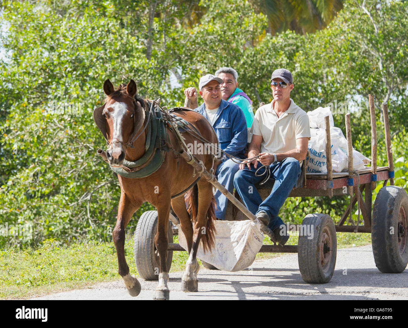 Men riding on a horse-drawn wagon, a common method of transportation ...