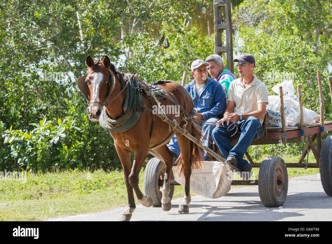 People riding on cart hi-res stock photography and images - Alamy
