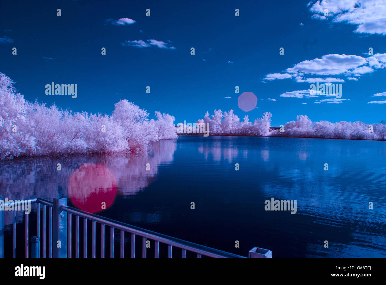 Infra Red photo at a park Stock Photo - Alamy