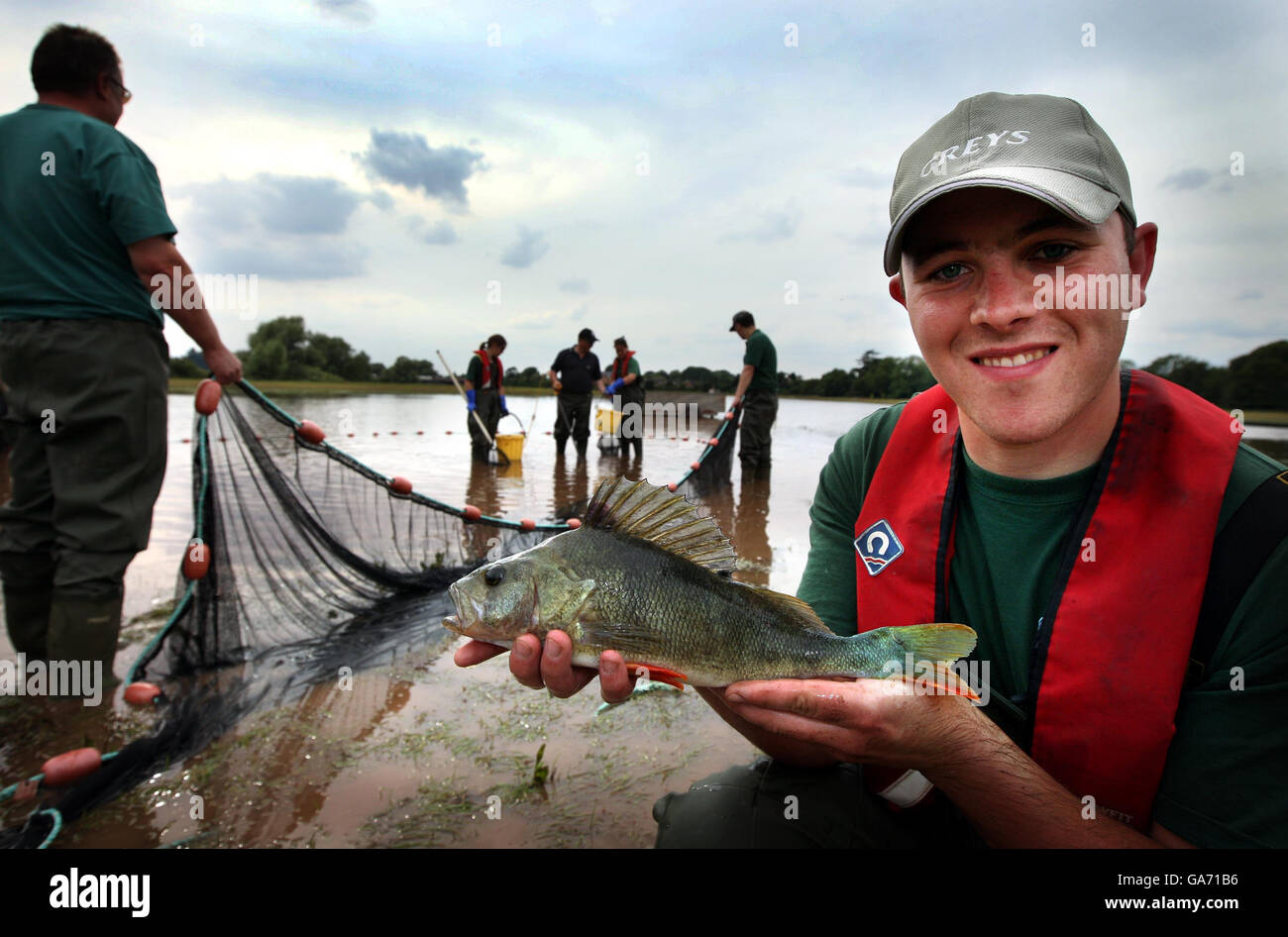 Fish Rescued From Flooded River Stock Photo Alamy