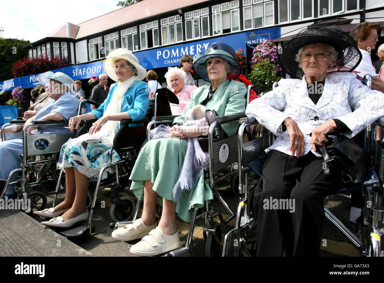 Failte Ireland Dublin Horse Show Stock Photo - Alamy Failte Ireland Dublin Horse Show Stock Photo - Alamy