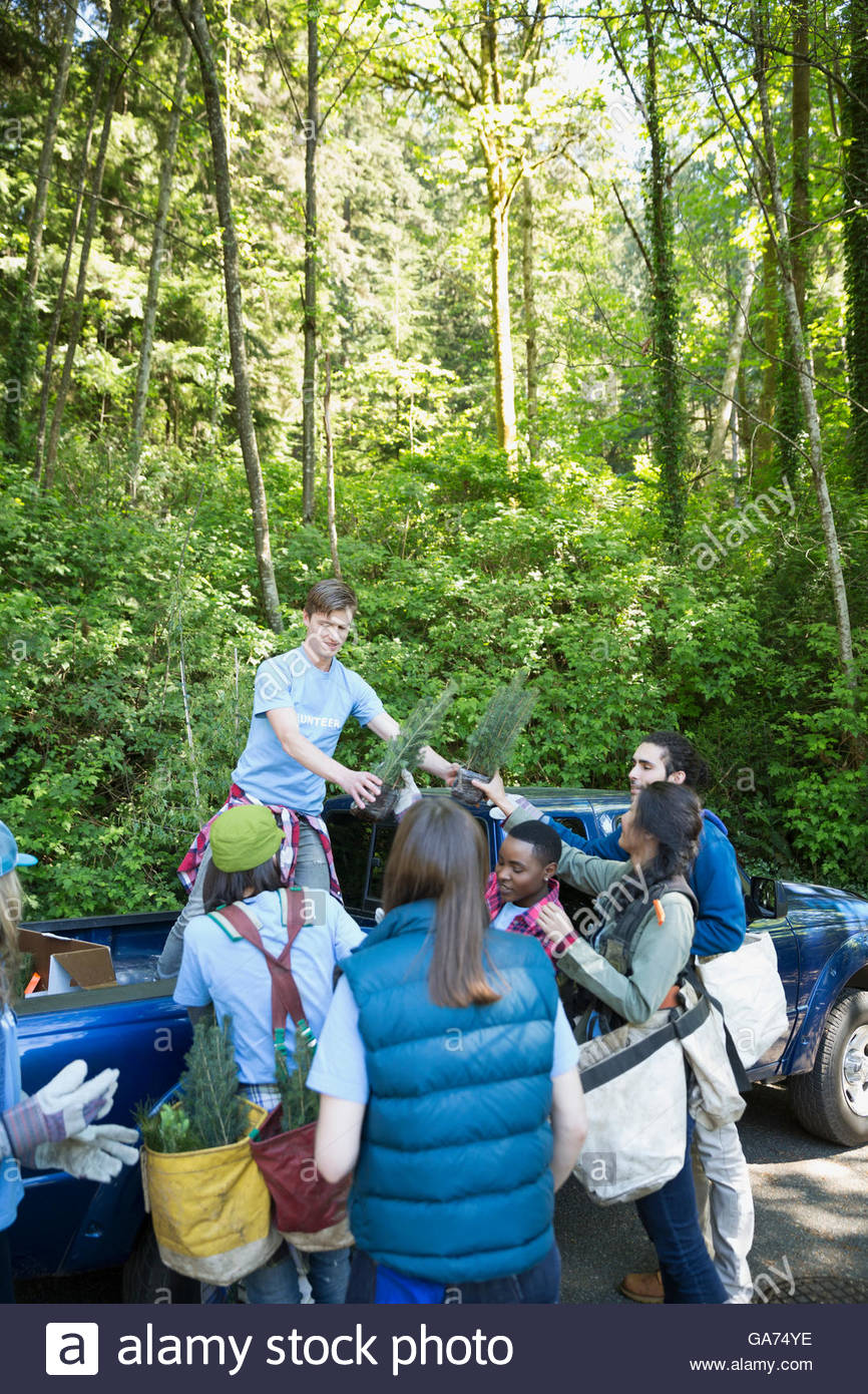 Man tree planting hi-res stock photography and images - Alamy