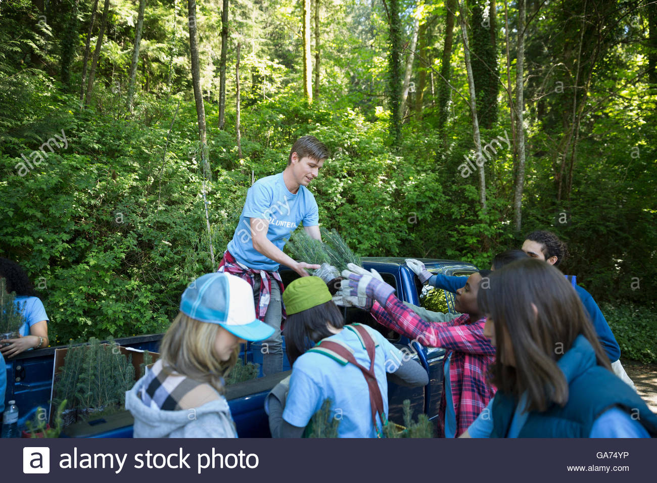 Giving tree hi-res stock photography and images - Alamy
