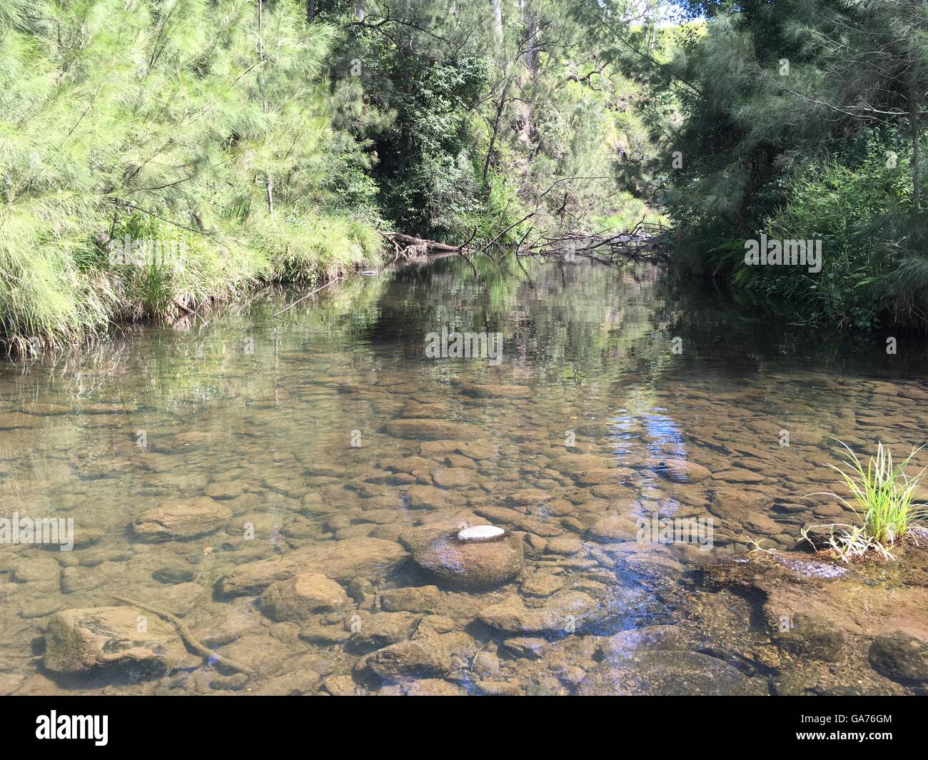 Mountain dirt road creek hi-res stock photography and images - Alamy