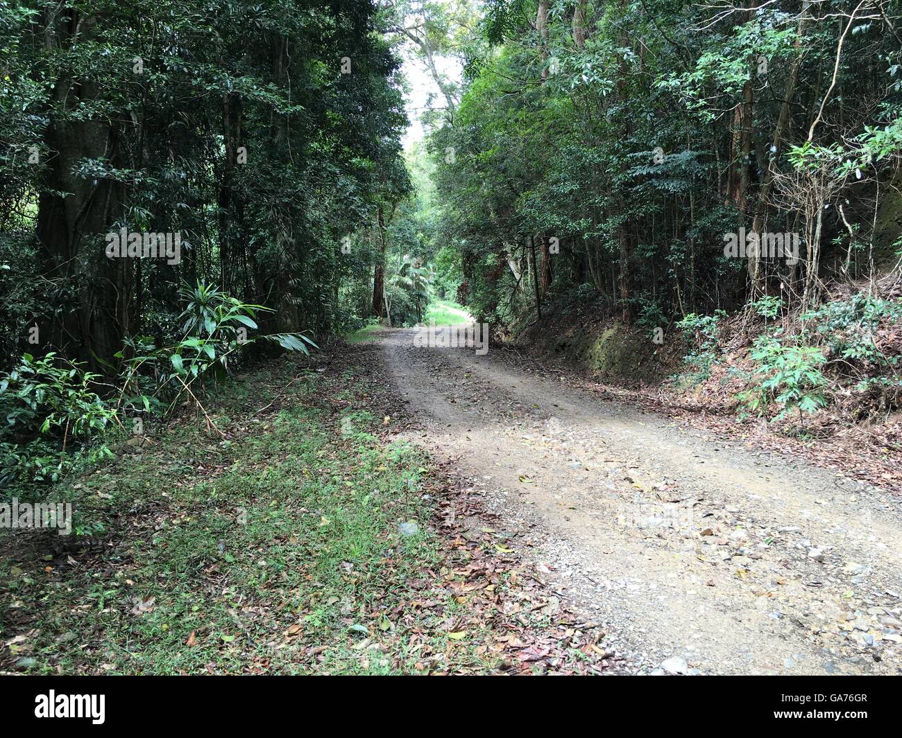 Bush Driving Track Stock Photo - Alamy