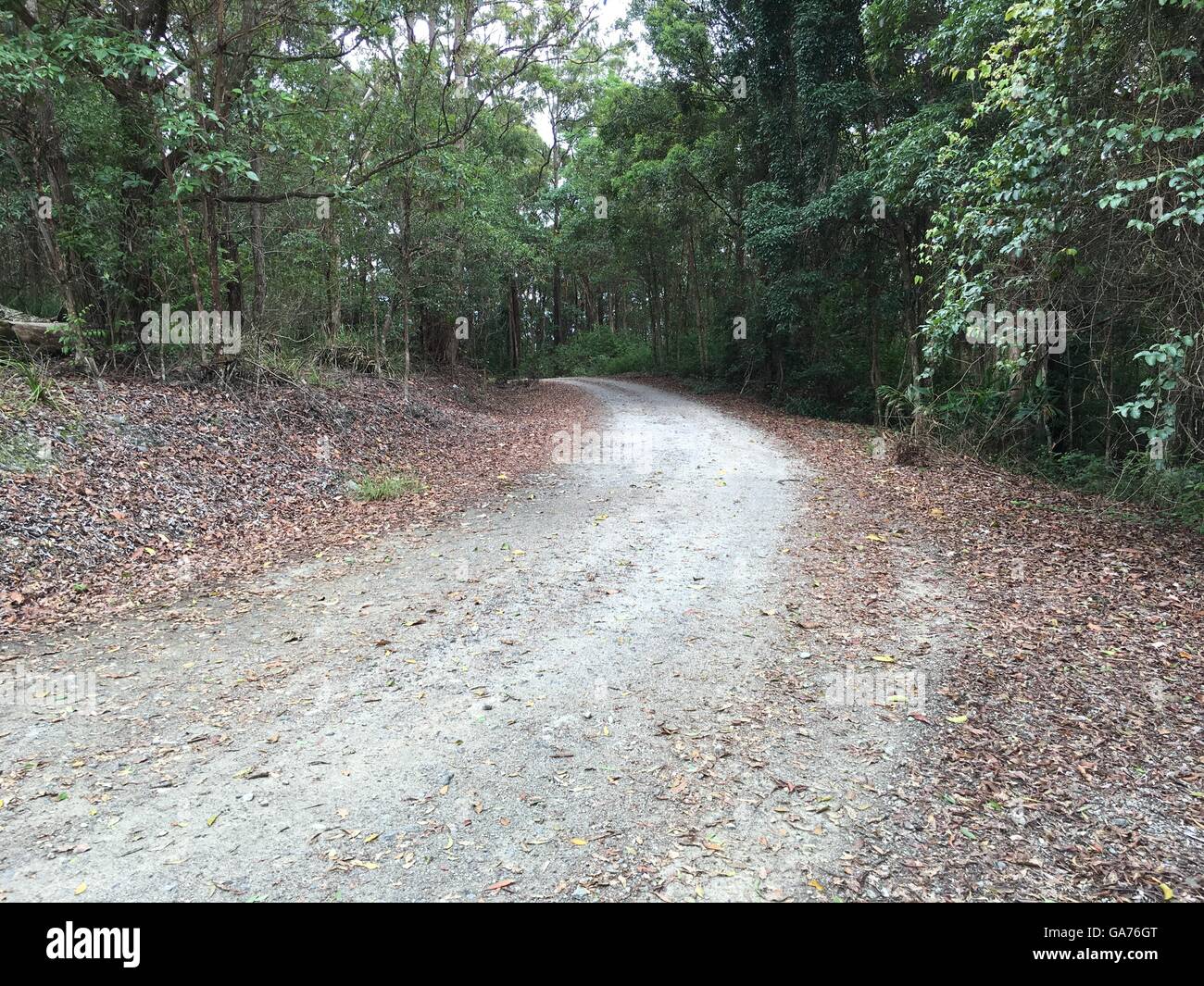 Bush road hi-res stock photography and images - Alamy