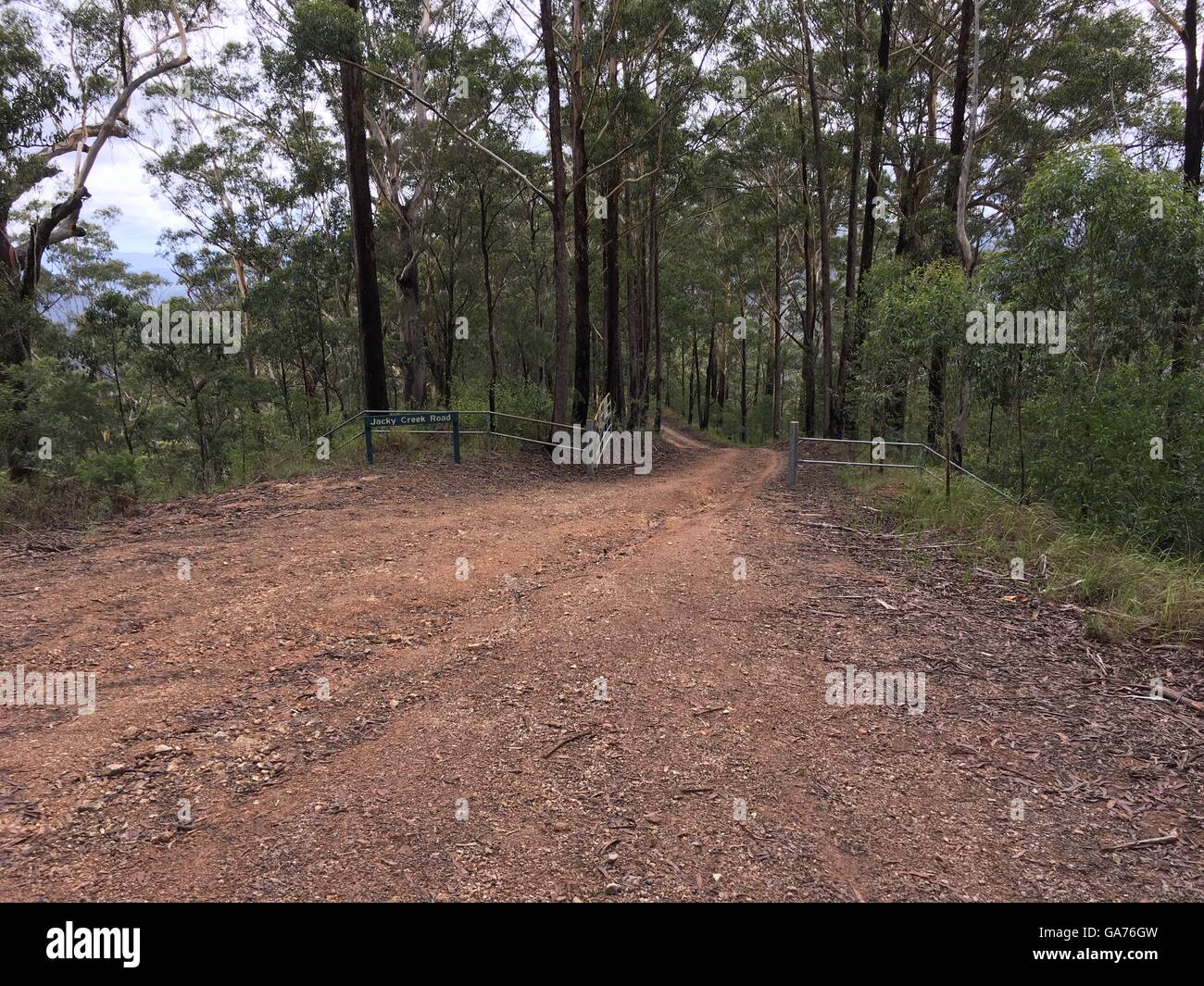 Bush Driving Track Stock Photo - Alamy