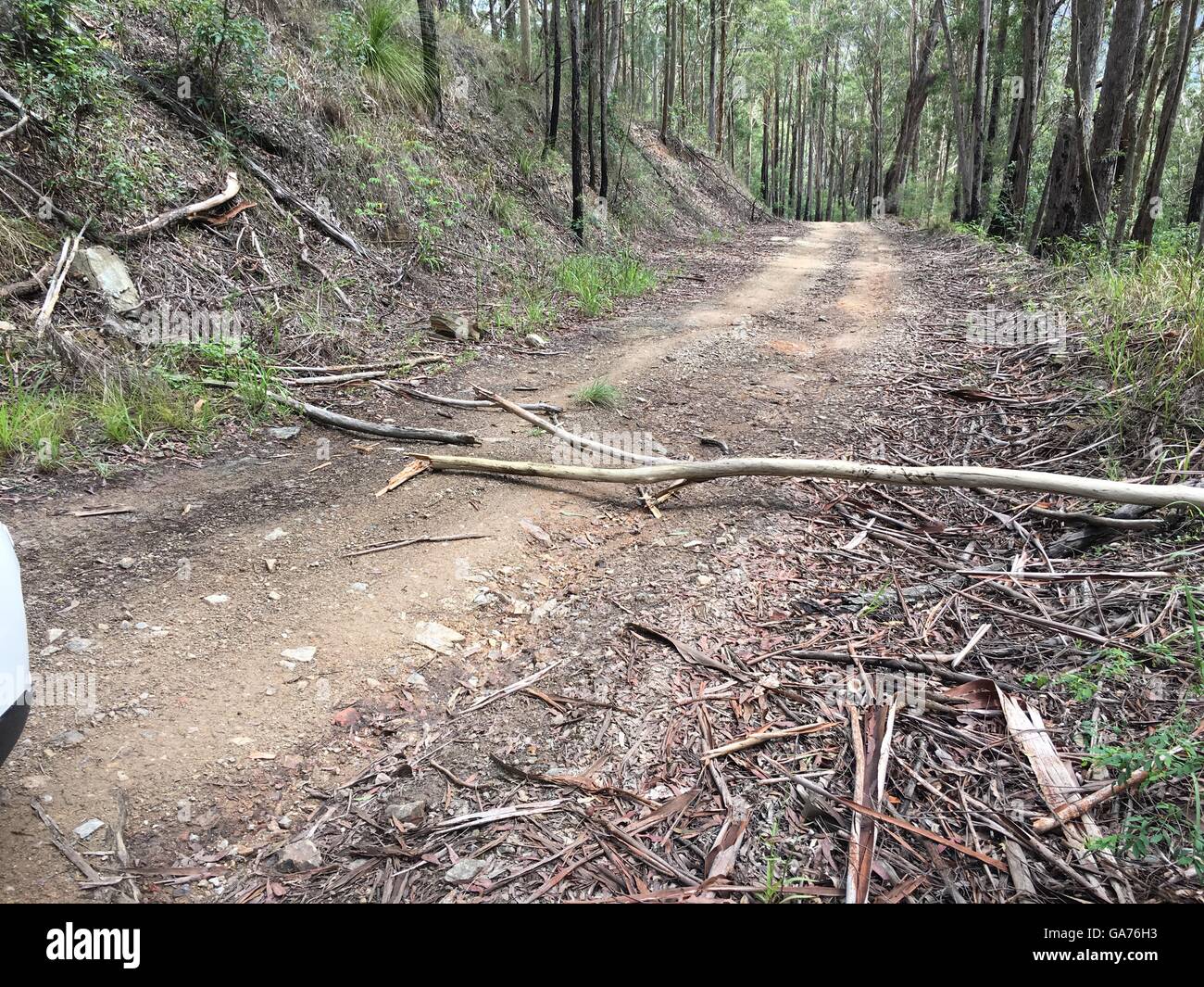 Bush Driving Track Stock Photo - Alamy