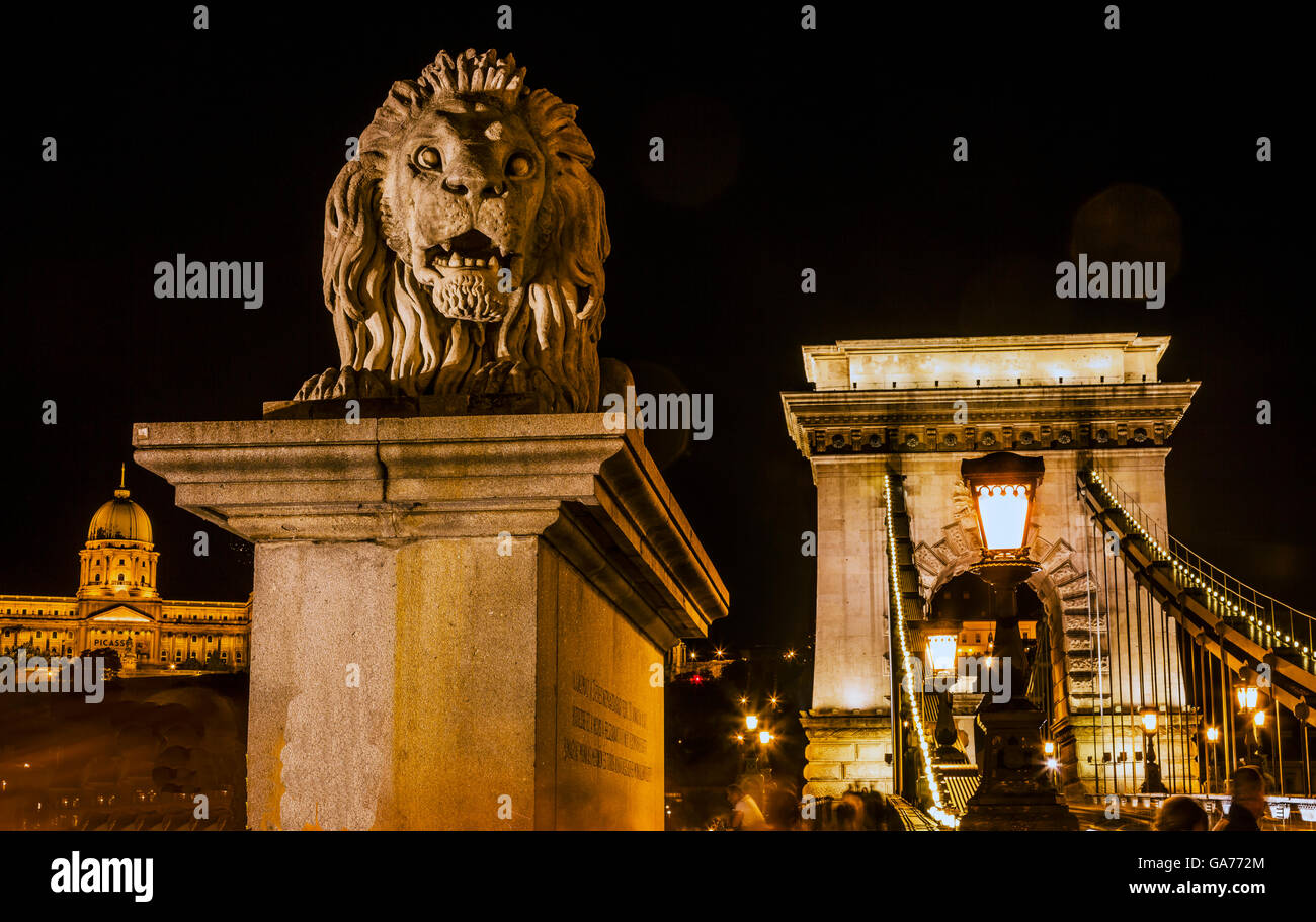 Lion Statue Chain Bridge Budapest Stock Photos & Lion Statue Chain ...