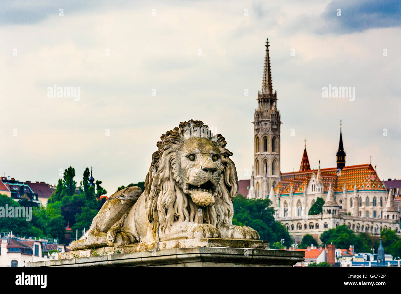 Chain Bridge Lion Statue Matthias Church Fisherman's Bastion Budapest ...