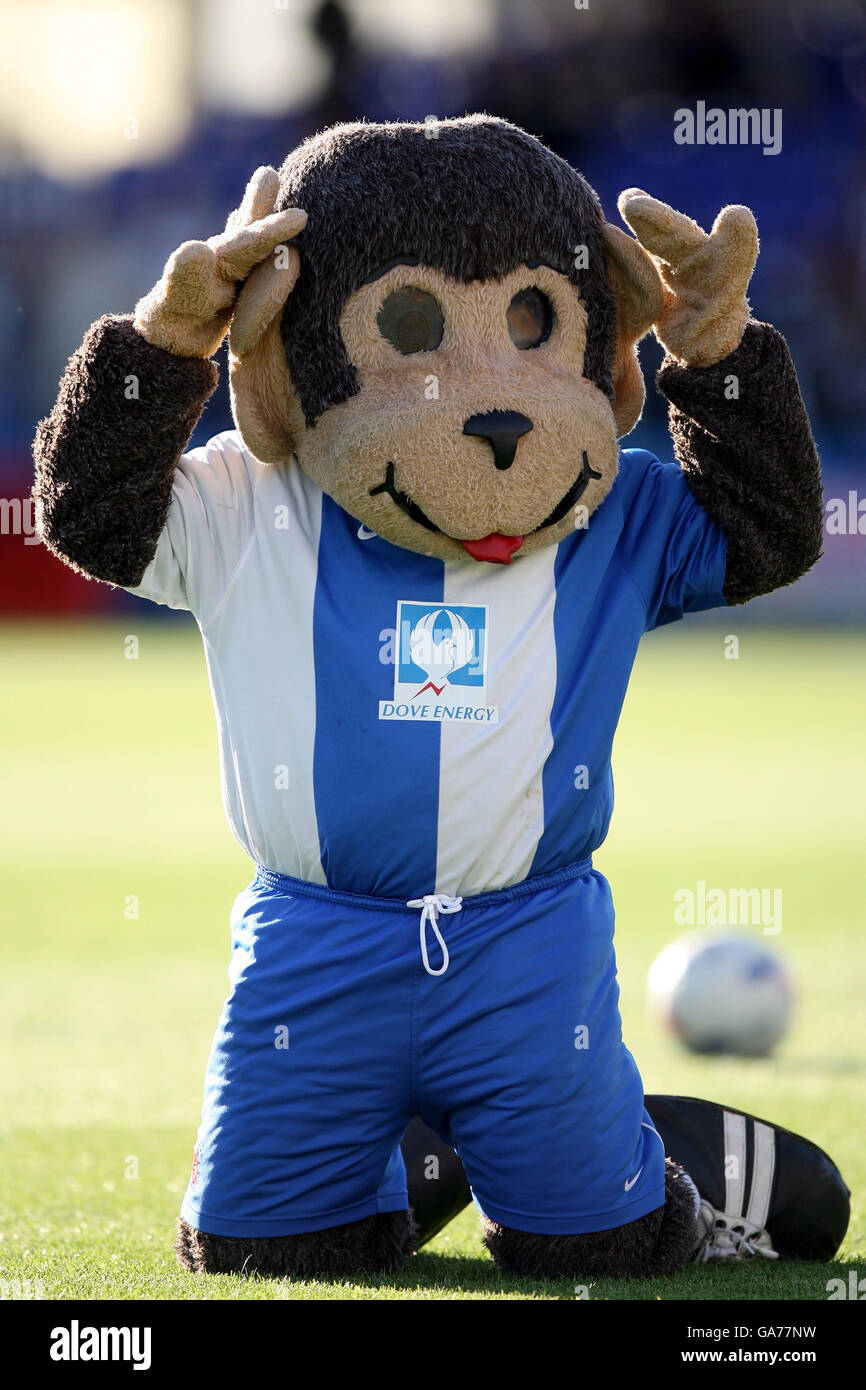 Hartlepool united mascot hi-res stock photography and images - Alamy