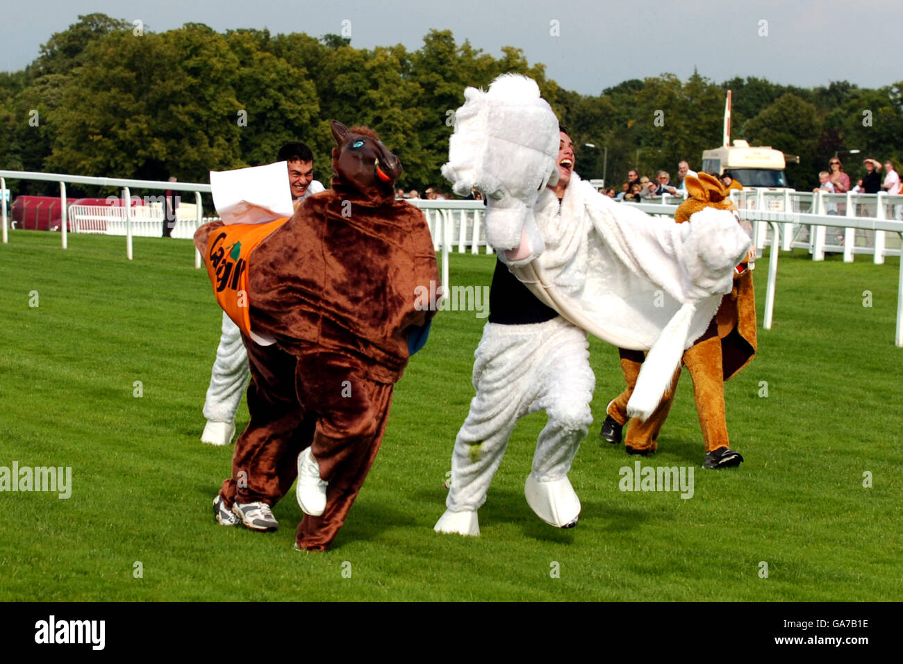 Pantomime horses in action during the race hi-res stock photography and ...