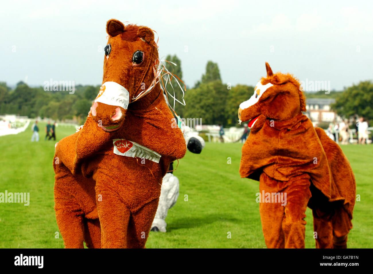 Pantomime horses in action during the race hi-res stock photography and ...
