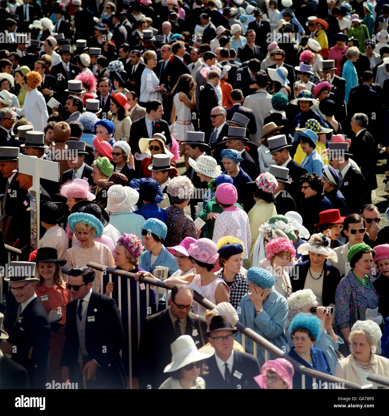 Crowd horse hi-res stock photography and images - Alamy