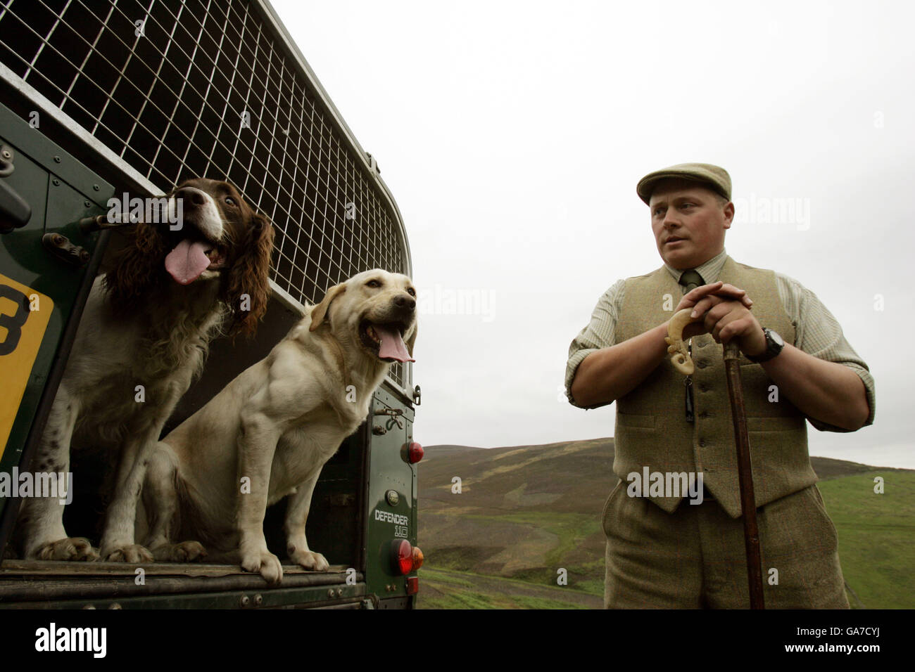 Gamekeeper Gavin Hannan with his dogs on the Grouse moor at the Glen ...