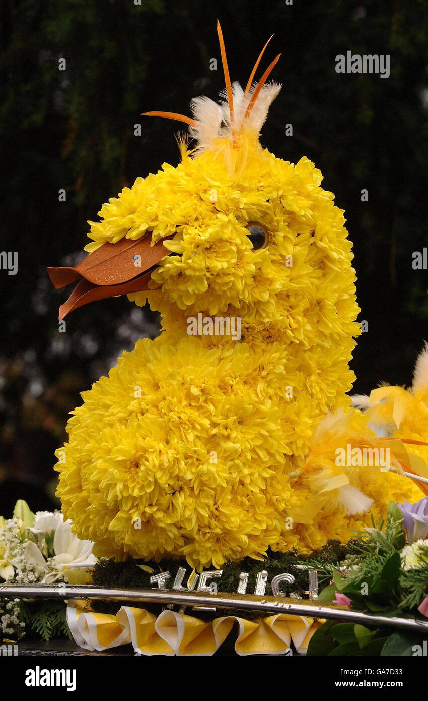 A yellow Duck floral tribute sits on top of the hearse at the funeral ...