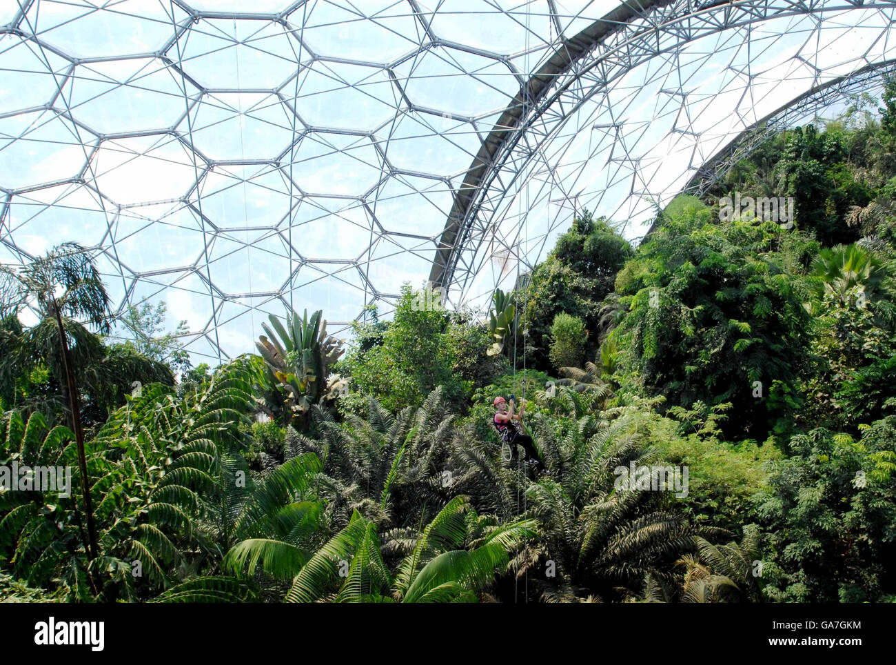 In The Tropical Bio Dome At The Eden Project High Resolution Stock ...