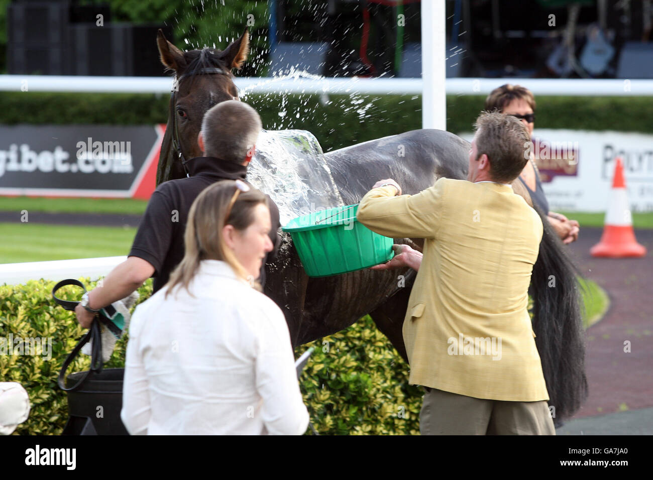 Horse Racing - Irish Night - Kempton Park. Horses are kept cool in the ...