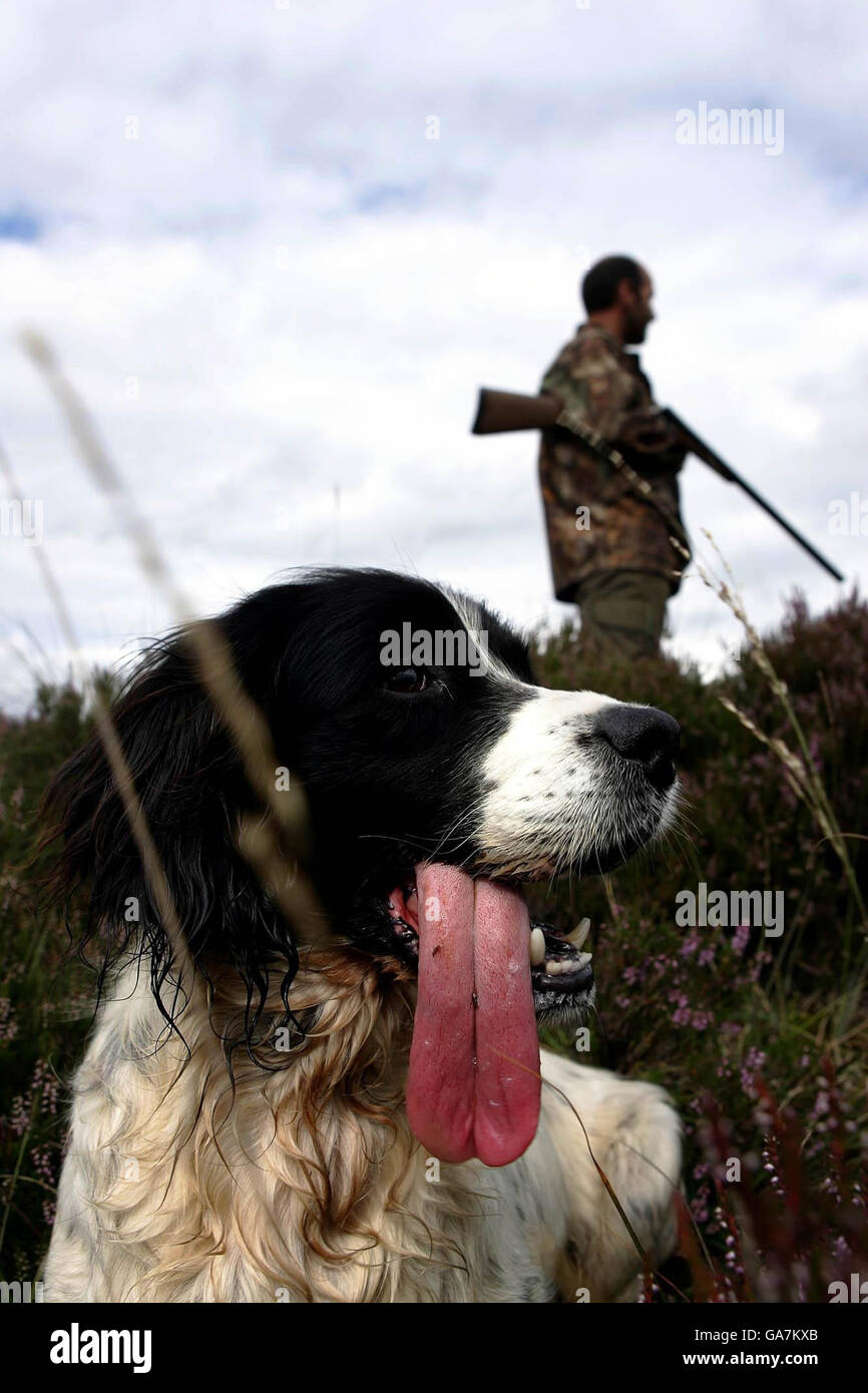 The Glorious Twelfth Stock Photo - Alamy