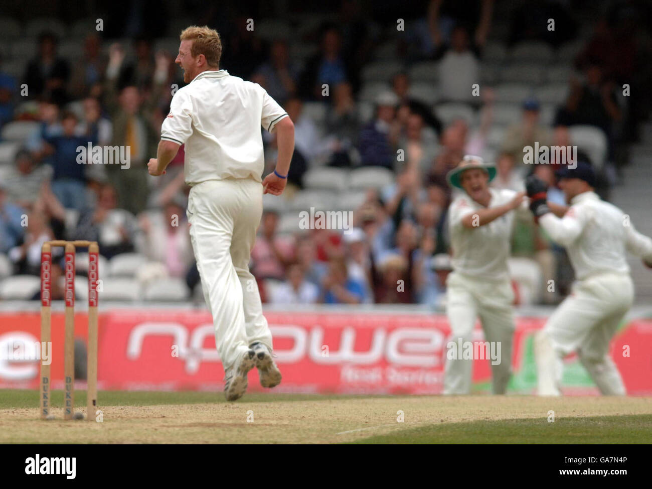 England's Paul Collingwood celebrates after bowling India's Rahul ...