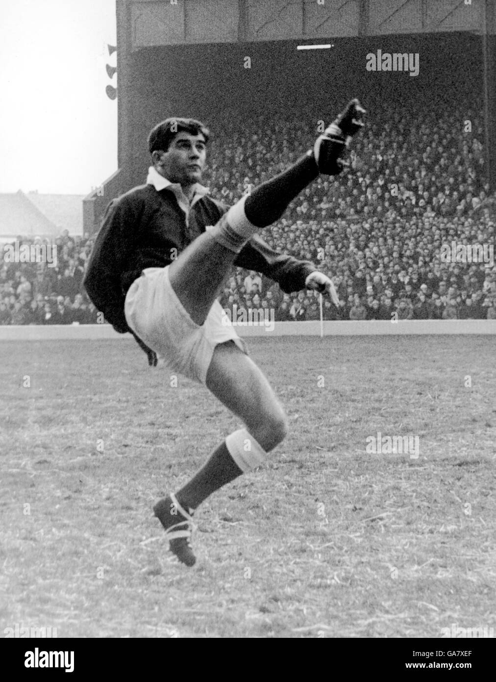 David watkins hi-res stock photography and images - Alamy