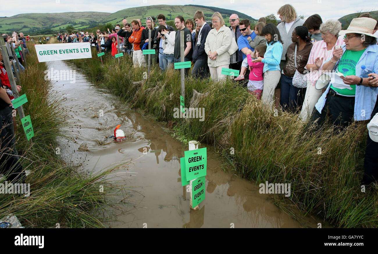 Bog Snorkelling World Championship Stock Photo - Alamy