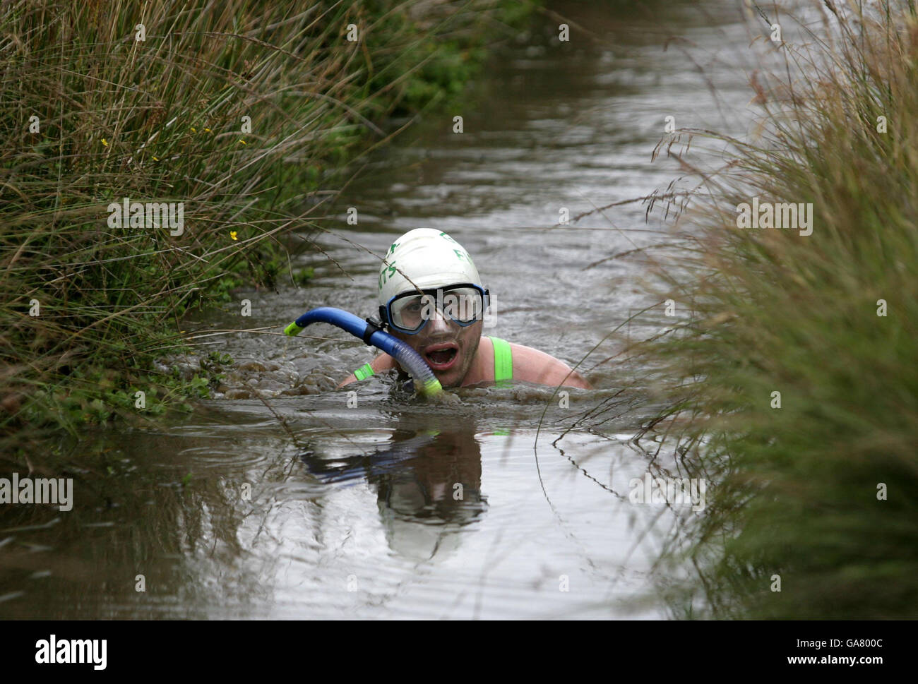 Bog Snorkelling World Championship Stock Photo - Alamy