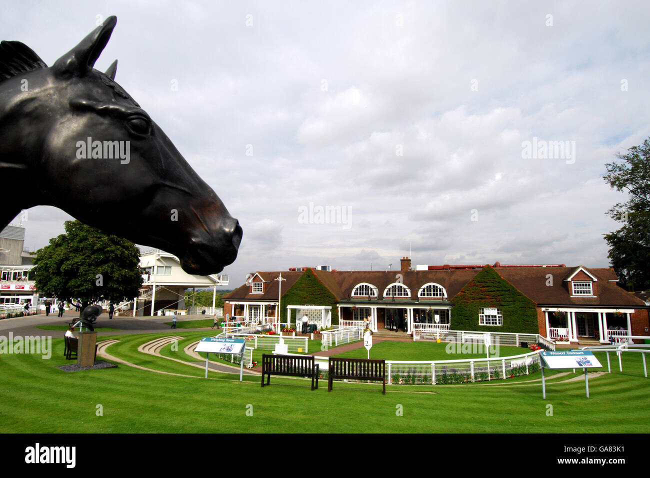 Evening horse racing pfa centenary night gv general view hi-res stock ...