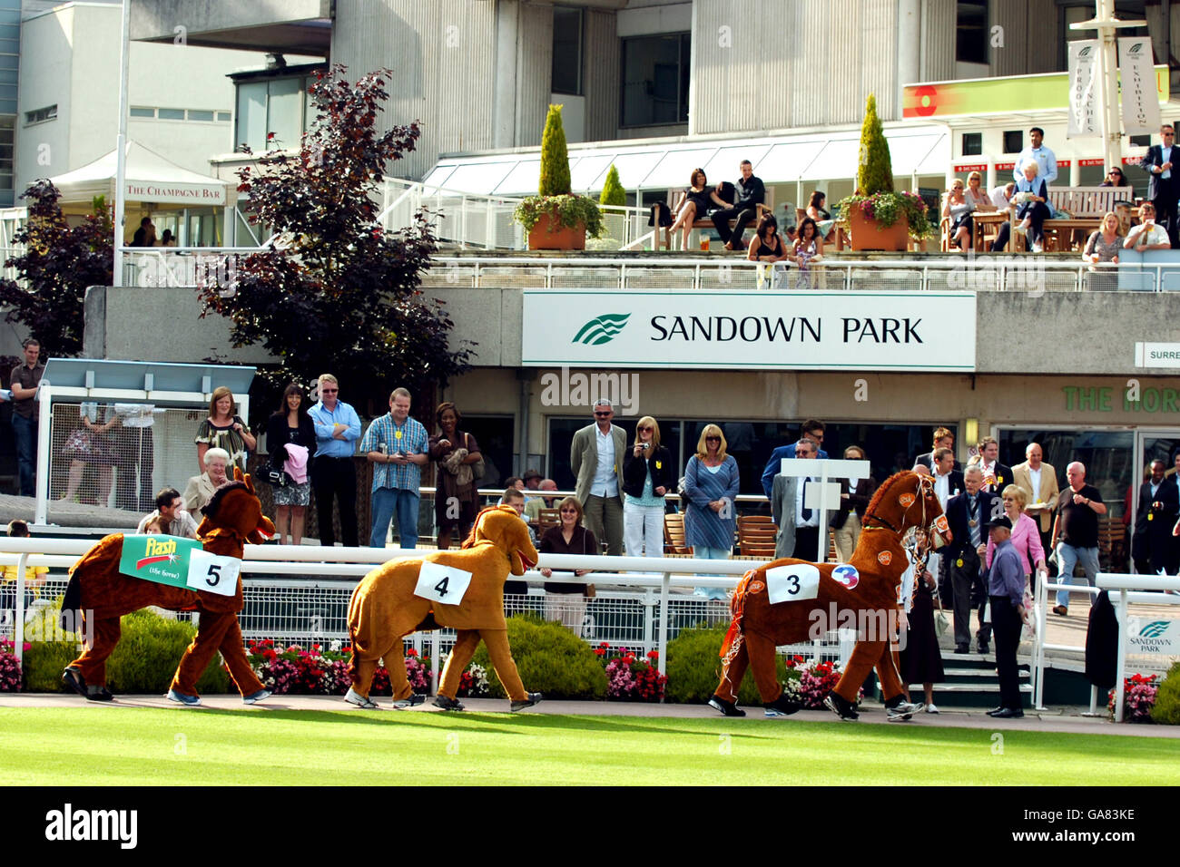 Evening horse racing pfa centenary night gv general view hi-res stock ...