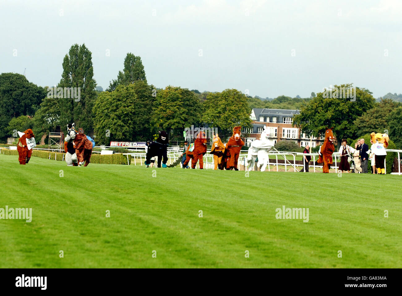 Evening horse racing pfa centenary night gv general view hi-res stock ...