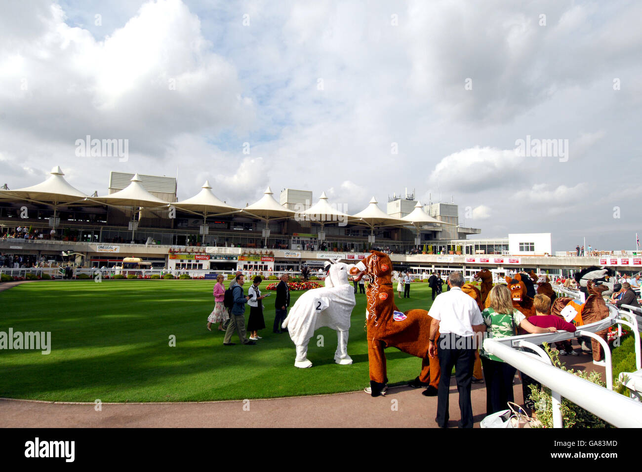 Horse Racing - PFA & Elmbridge Night - Sandown Park Stock Photo - Alamy