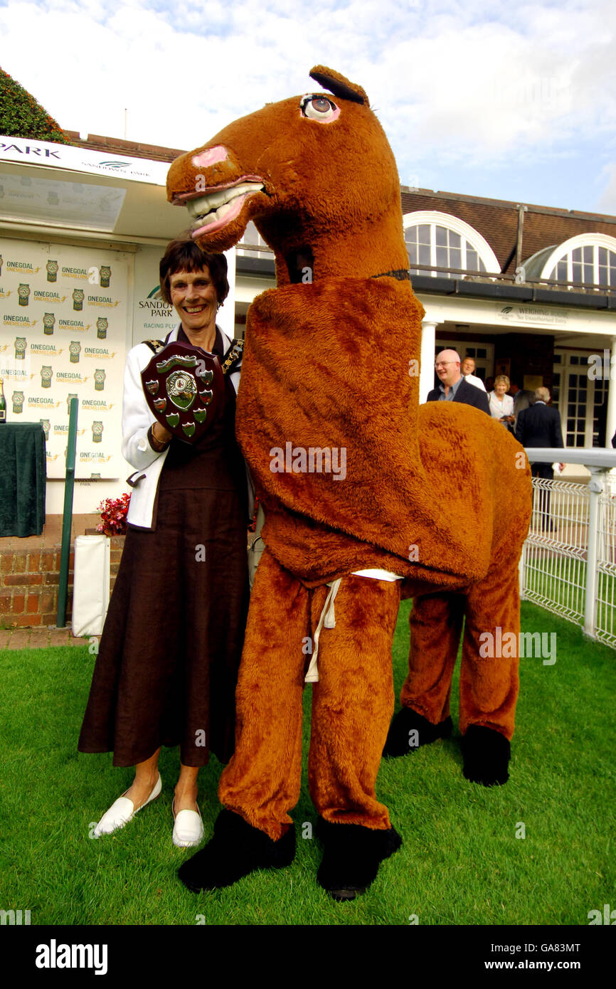 Horse Racing - PFA & Elmbridge Night - Sandown Park Stock Photo - Alamy