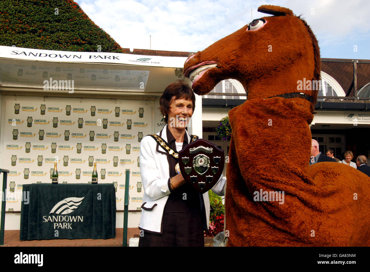A Pantomime horse recieves its award for the pantomime horse race Stock ...