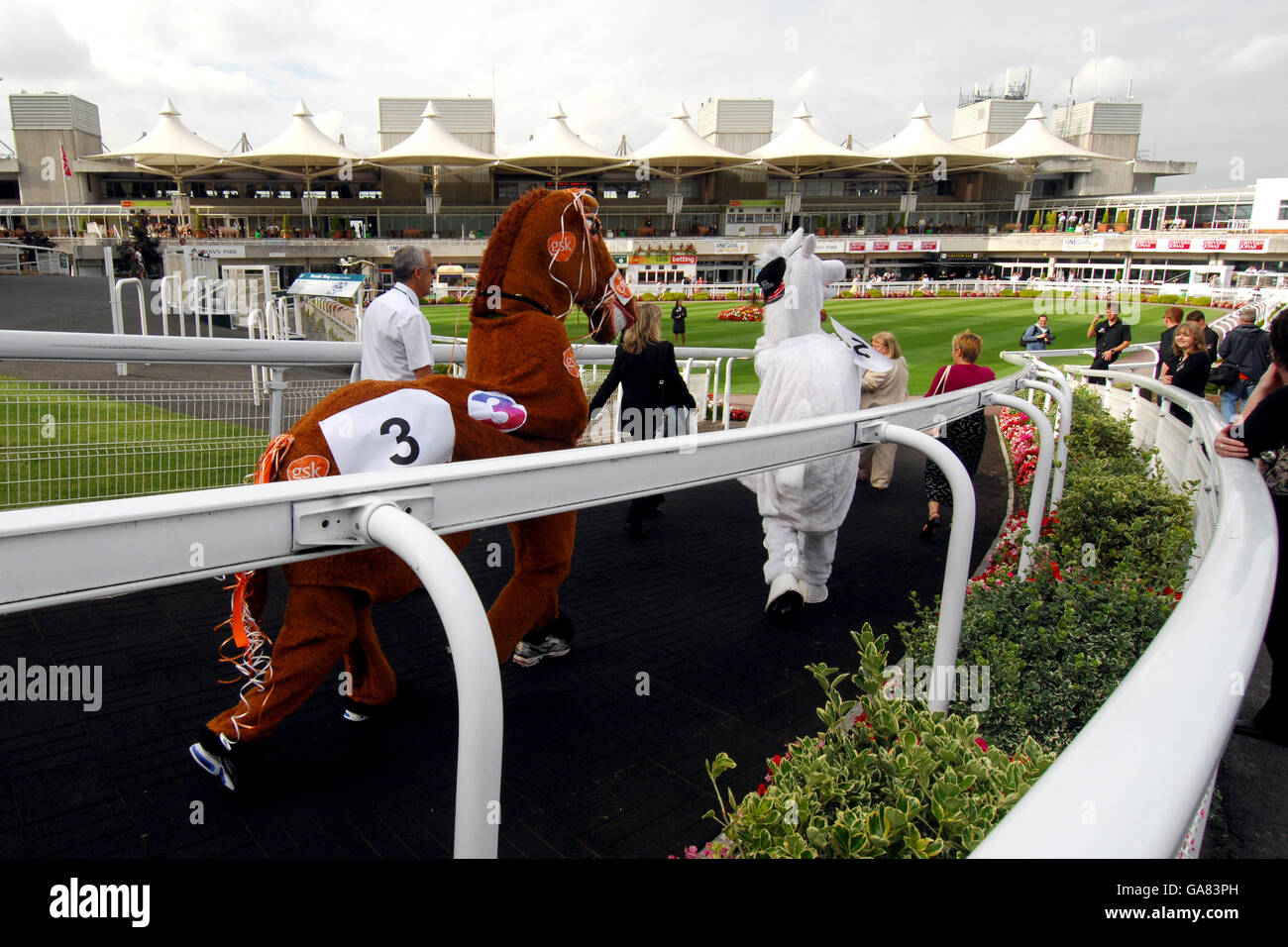 Horse Racing - PFA & Elmbridge Night - Sandown Park Stock Photo - Alamy