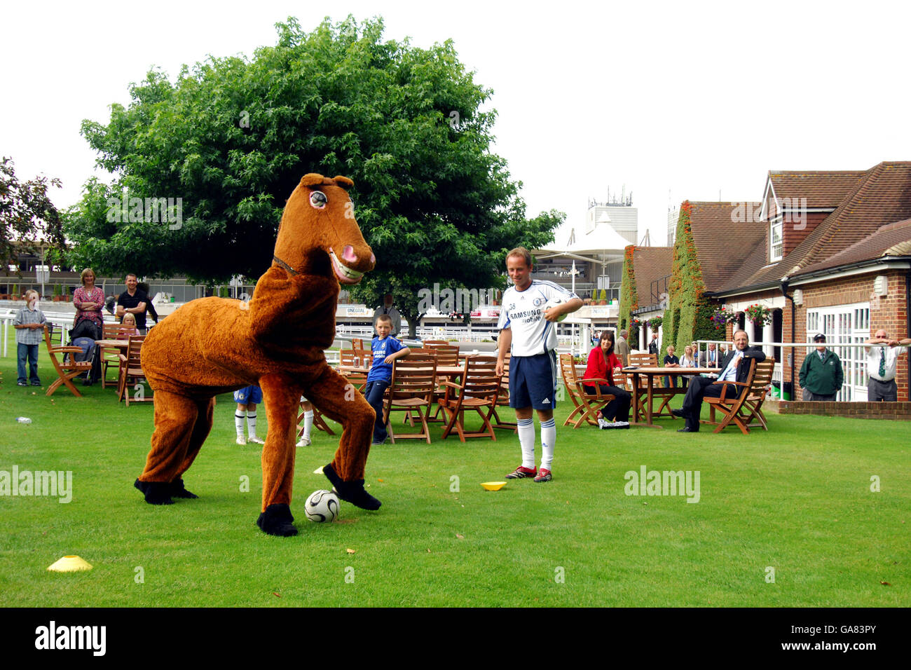 A pantomime horse demonstrates its skills hi-res stock photography and ...