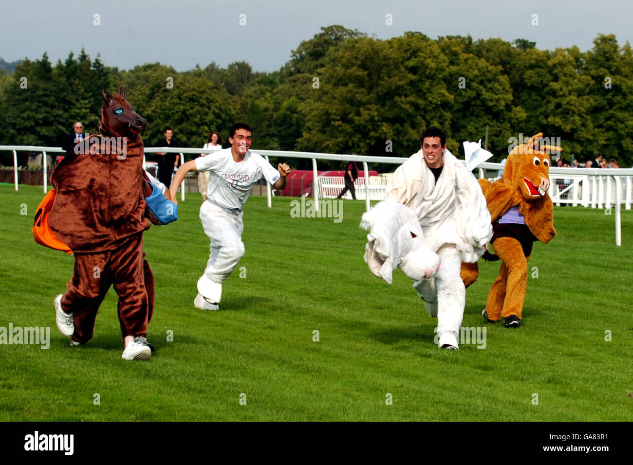 Horse Racing - PFA & Elmbridge Night - Sandown Park. Action from the ...