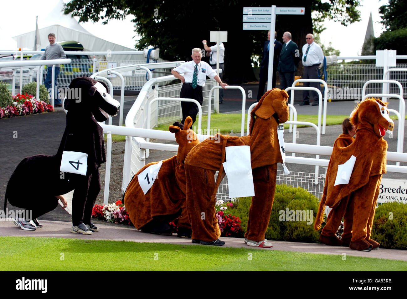 Horse Racing - PFA & Elmbridge Night - Sandown Park. Pantomime horses ...