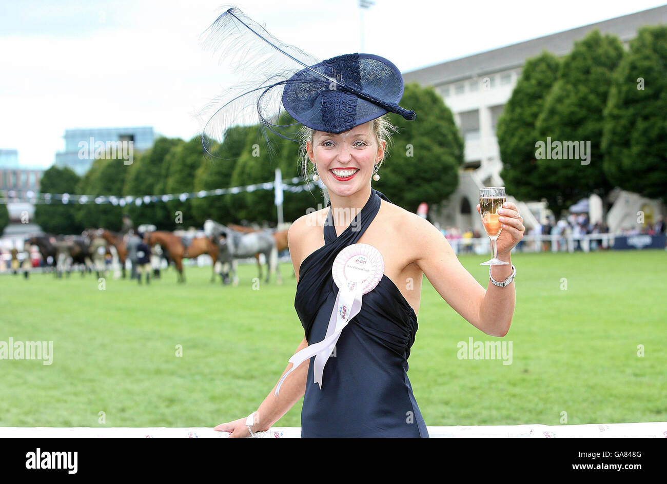Failte Ireland Dublin Horse Show Stock Photo - Alamy